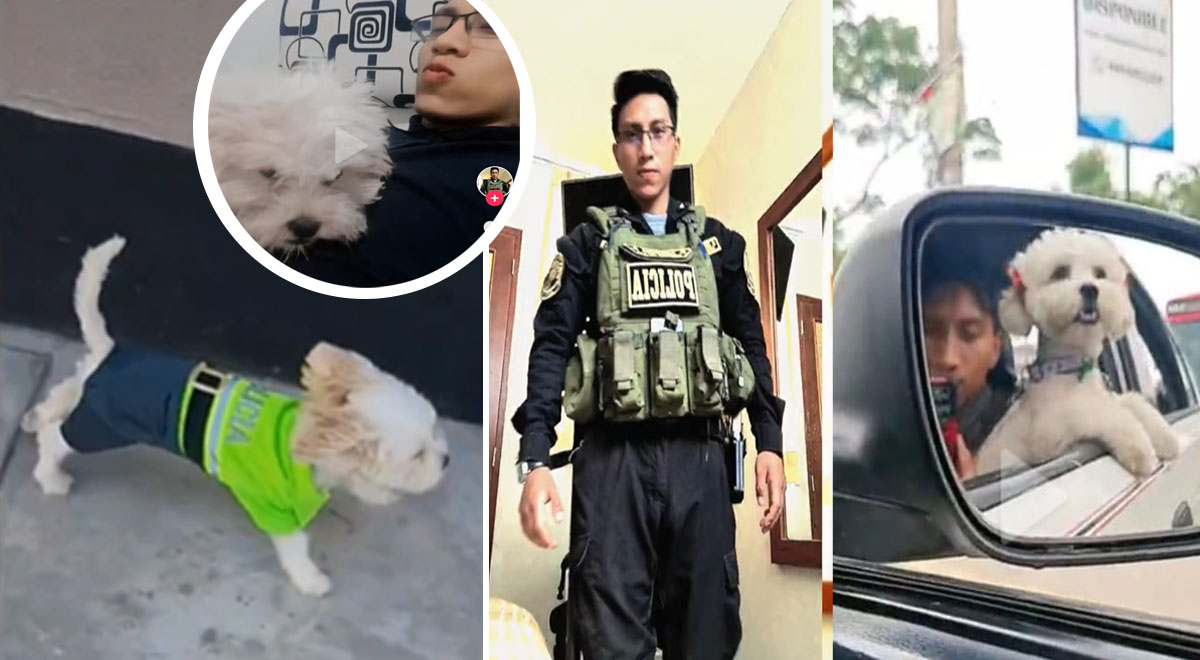 Qué pasó con la perrita del asesino Darwin Condori: exigen saber su ...