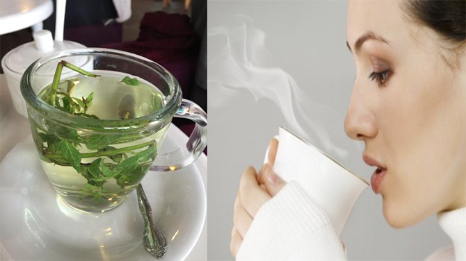 Cinco beneficios de la Muña que no conocías