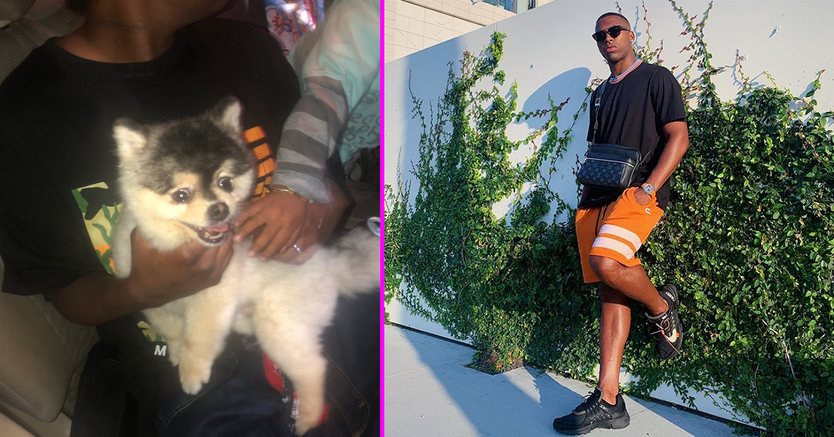 ¿Crees que Daniel Sturridge pagará los 37.500 dólares por su perrito ...