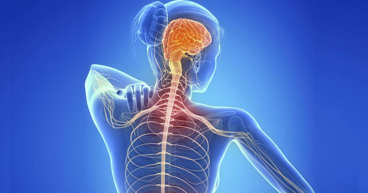 Esclerosis múltiple: la principal causa de discapacidad en el mundo