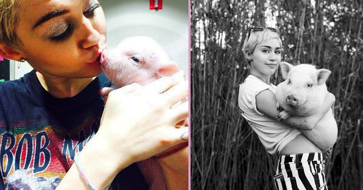 Miley Cyrus: “mi querida Pig Pig ha fallecido, siempre te echaré de menos”