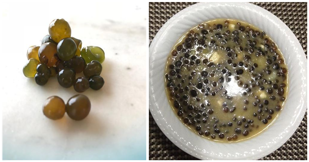 Mazamorra de cushuro: la manera más deliciosa de comer el alga milagrosa