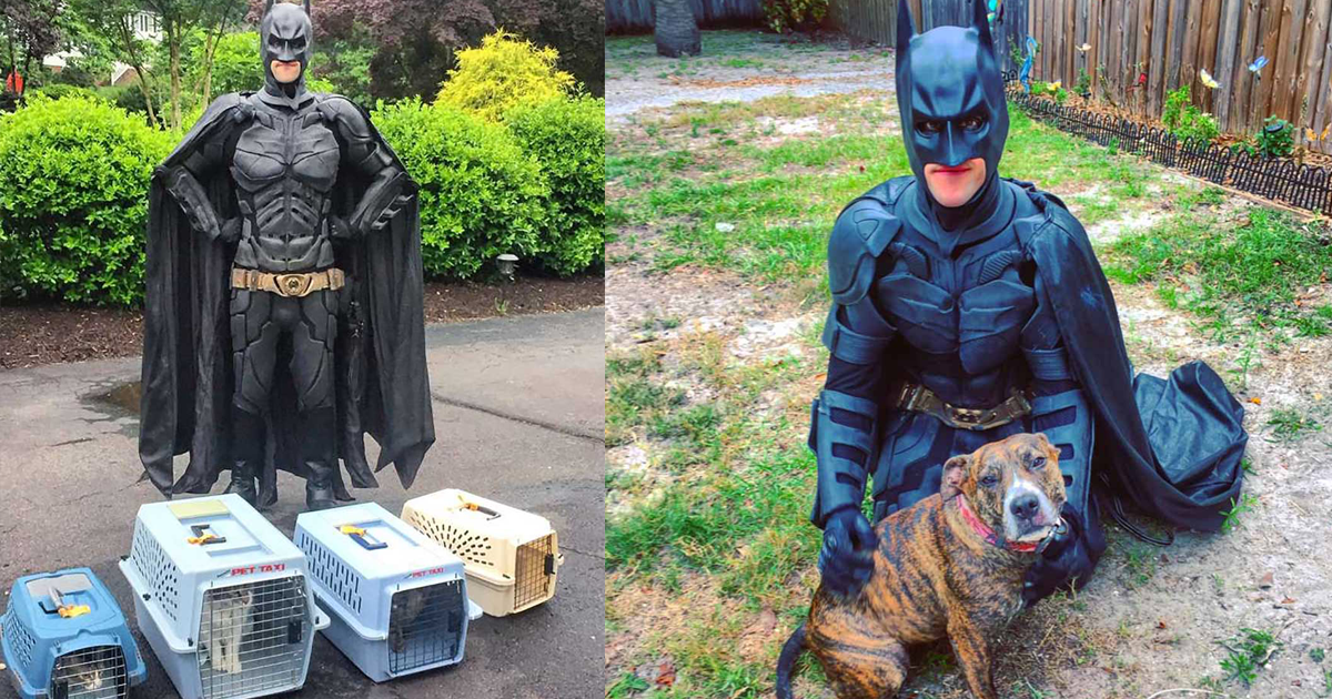 El Batman de la vida real que tiene la misión de rescatar animalitos ...