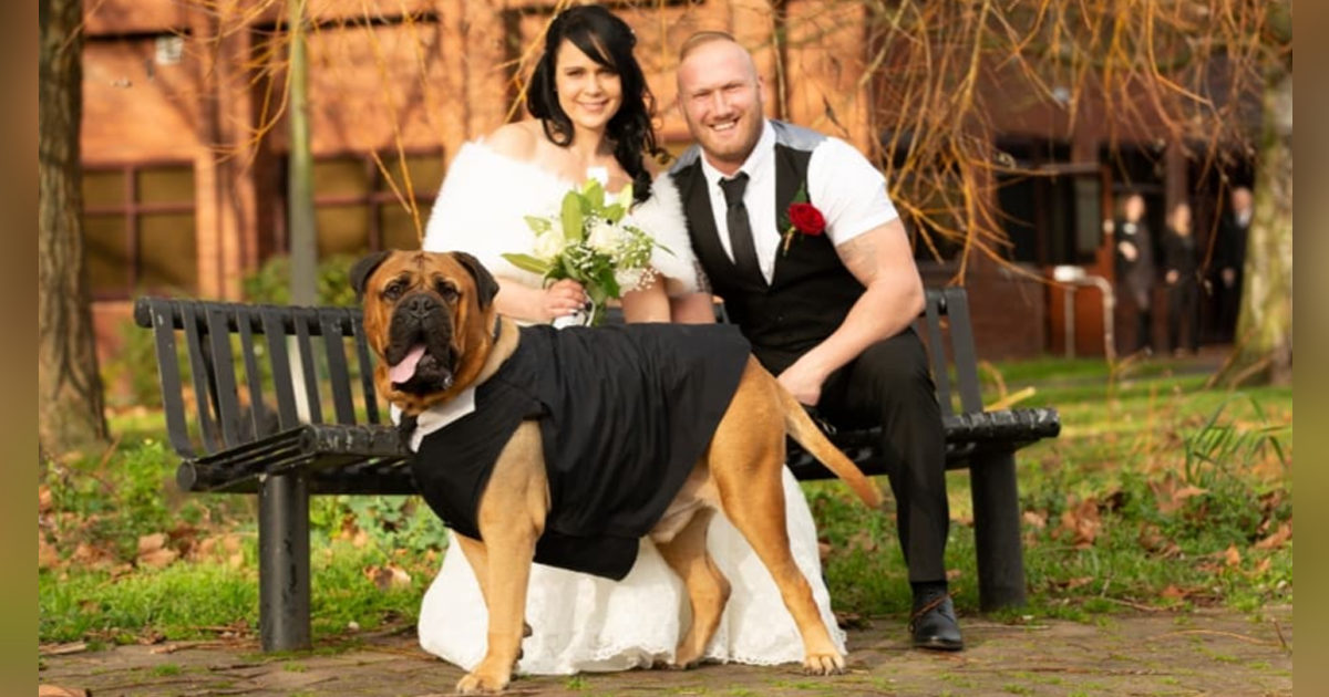 Pareja adelantó su boda para que su perro con cáncer esté junto a ellos ...