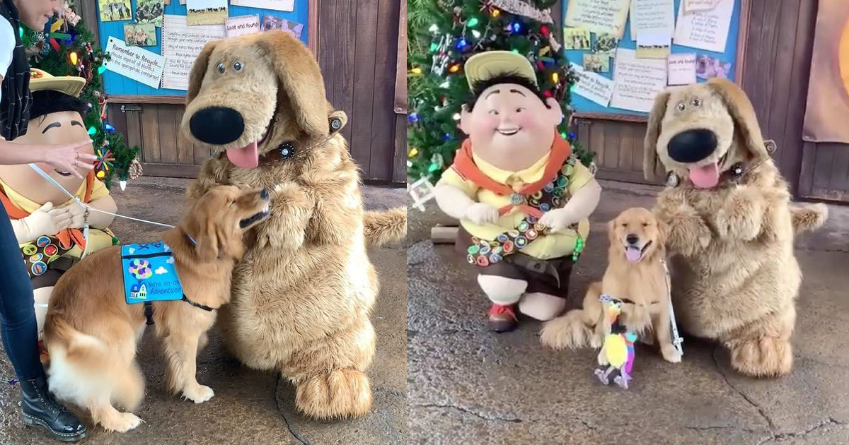 Perrito conoce a su personaje favorito de “Up” y estalla de emoción