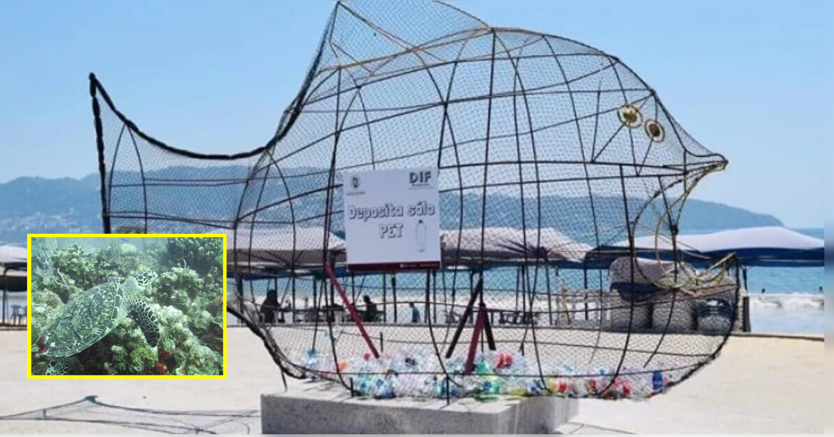 México: colocan peces gigantes en las playas para conservar la vida animal