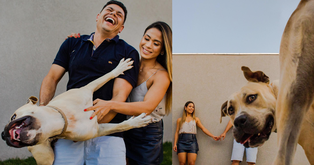 Pareja incluye a su perrito en sesión de fotos, pero jamás imaginaron ...