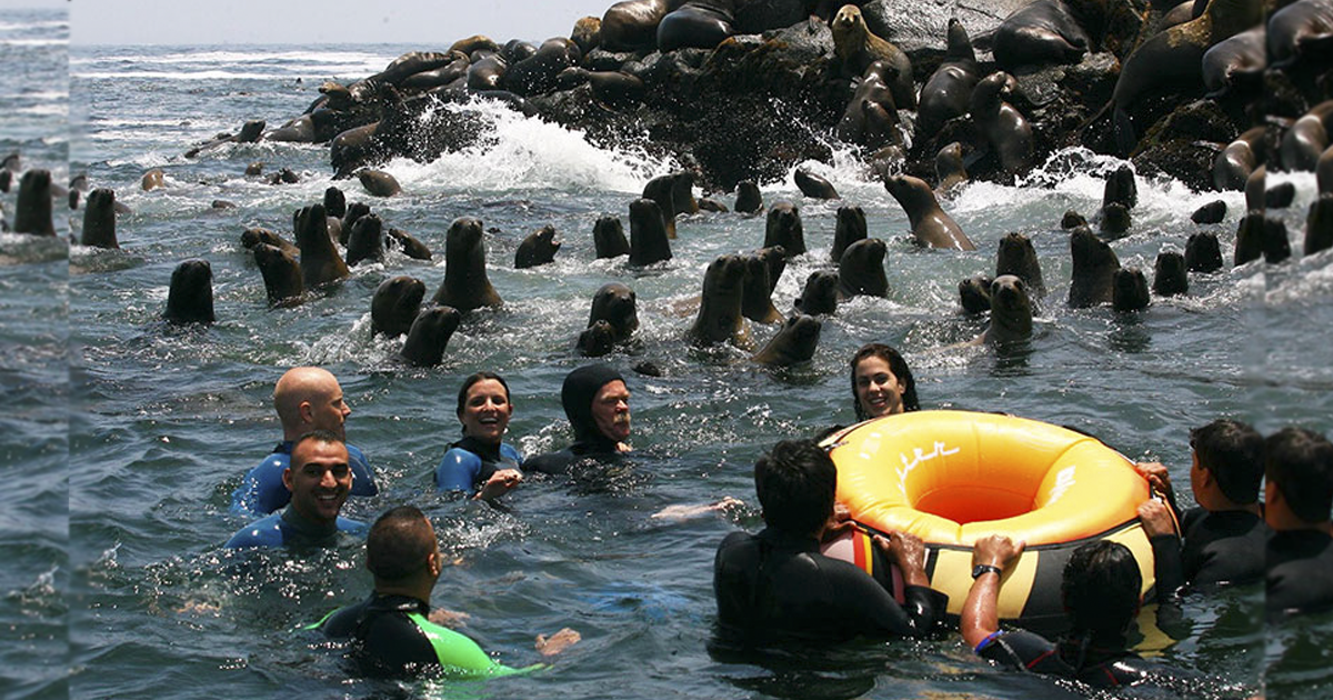 Islas de San Lorenzo, El Frontón, Cavinzas y Palomino: ¿Cómo llegar y ...