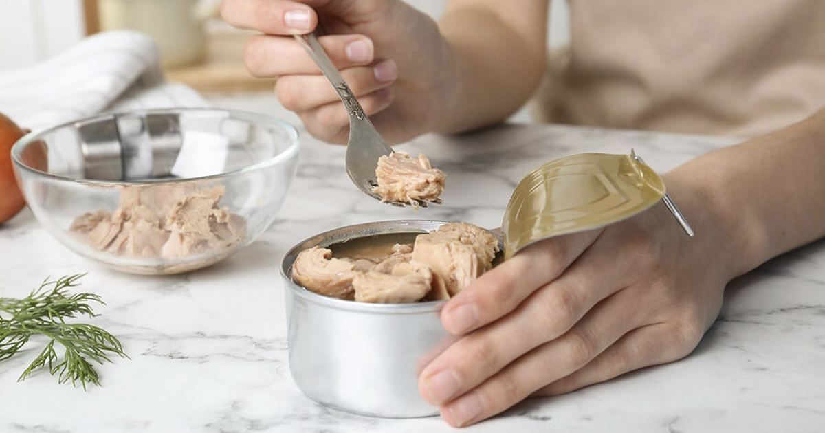 Tres ricas recetas a base de atún para el desayuno, almuerzo y la cena