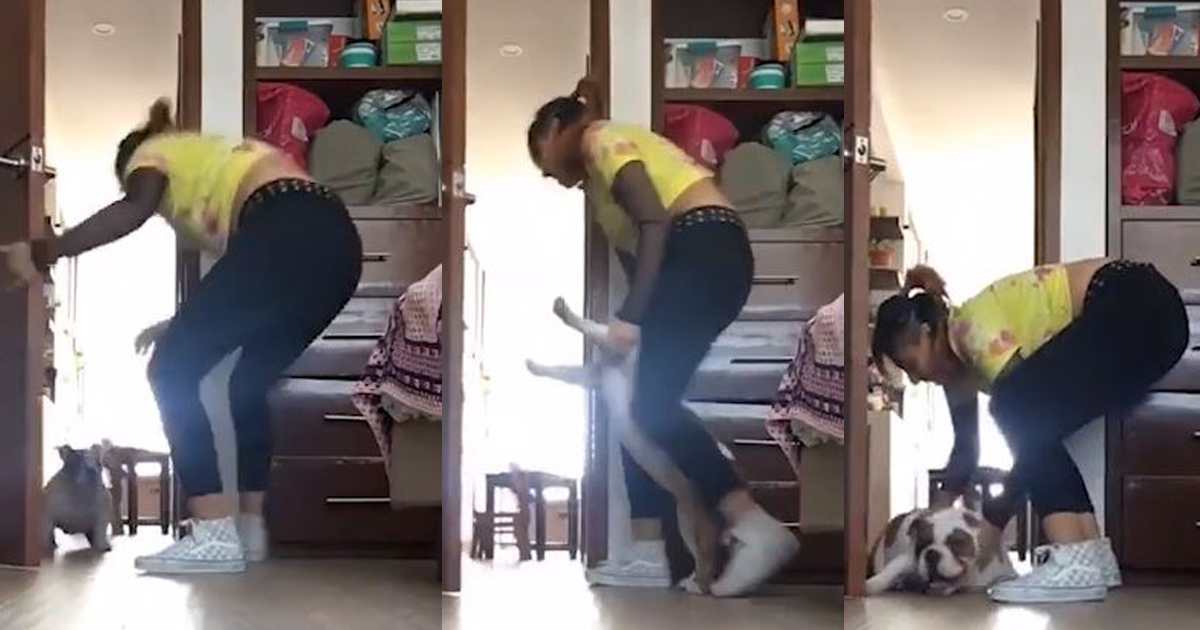 Perro deja en ridículo a su ama en plena clase virtual [VIDEO]