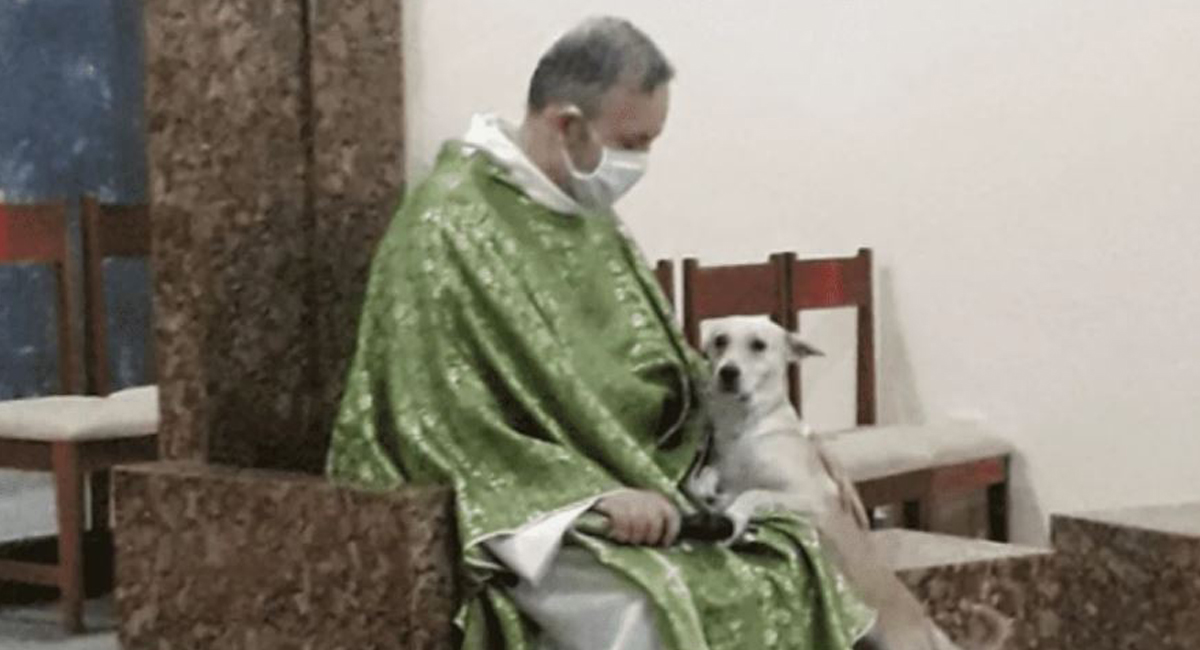 Sacerdote brinda una misa rodeado de perros para que fieles los adopten