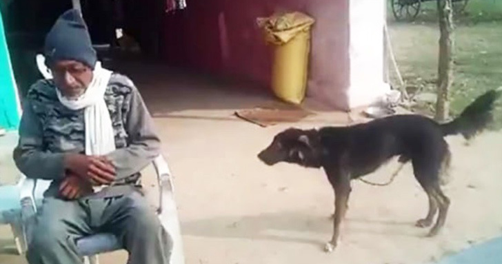 Padre de familia hereda todos sus bienes a su perrito tras decepción de ...