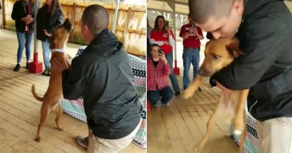 Perrito extraviado aúlla desesperadamente al reencontrase con su dueño