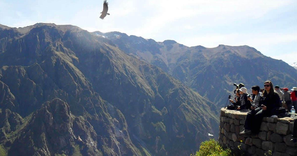 Oferta turística: Aprovecha el 2x1 para conocer el Colca en Arequipa