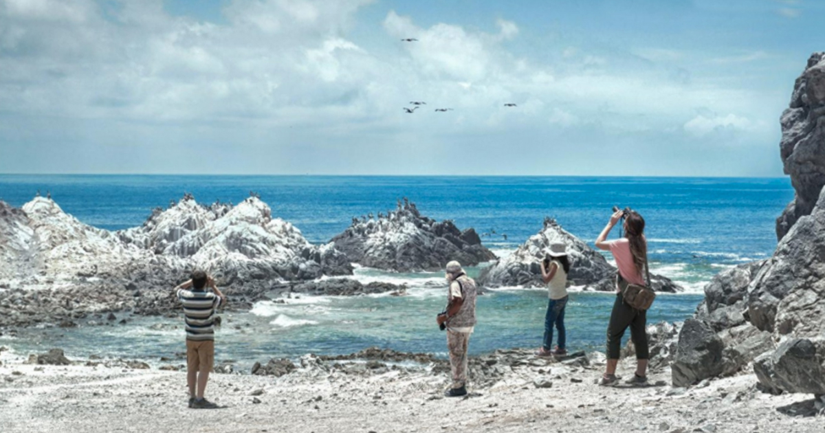Punta Coles: ¿Dónde queda este paradisiaco destino turístico que HOY ...