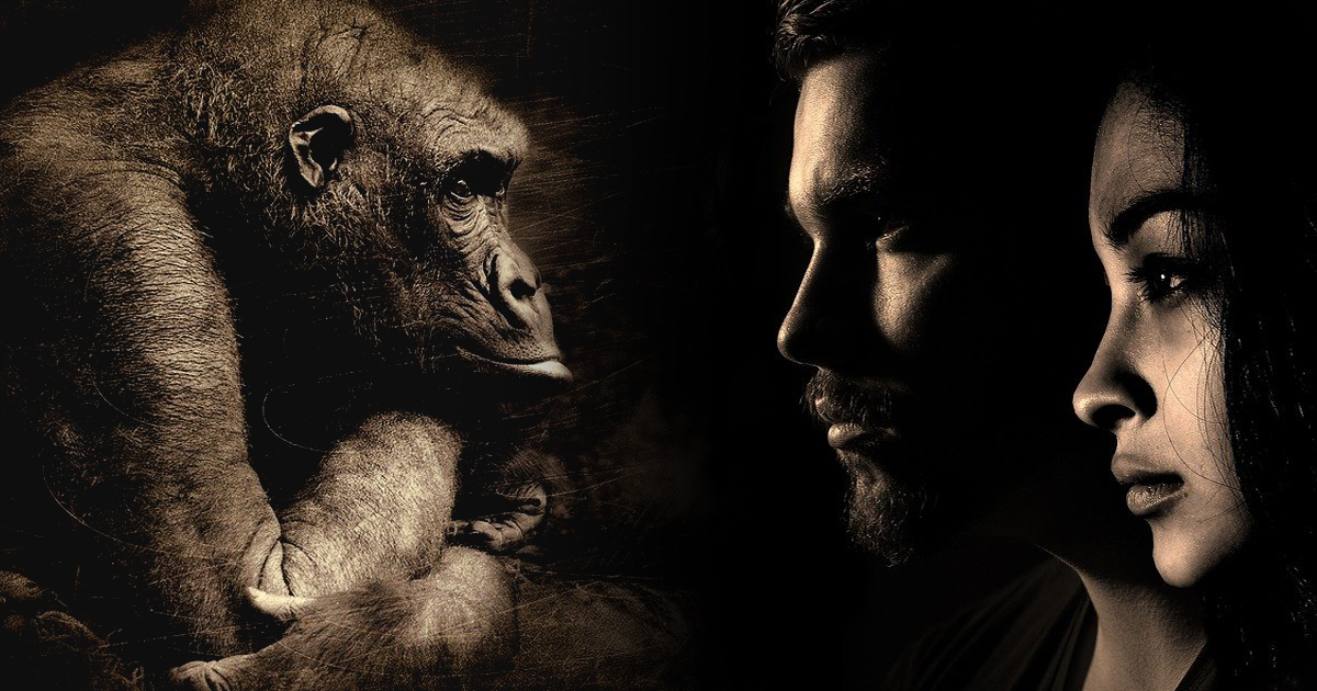 Polémico experimento en China: crearon embriones con mezcla de mono y ...