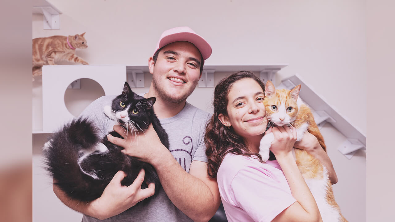 Los gatos y sus distintas relaciones con los humanos