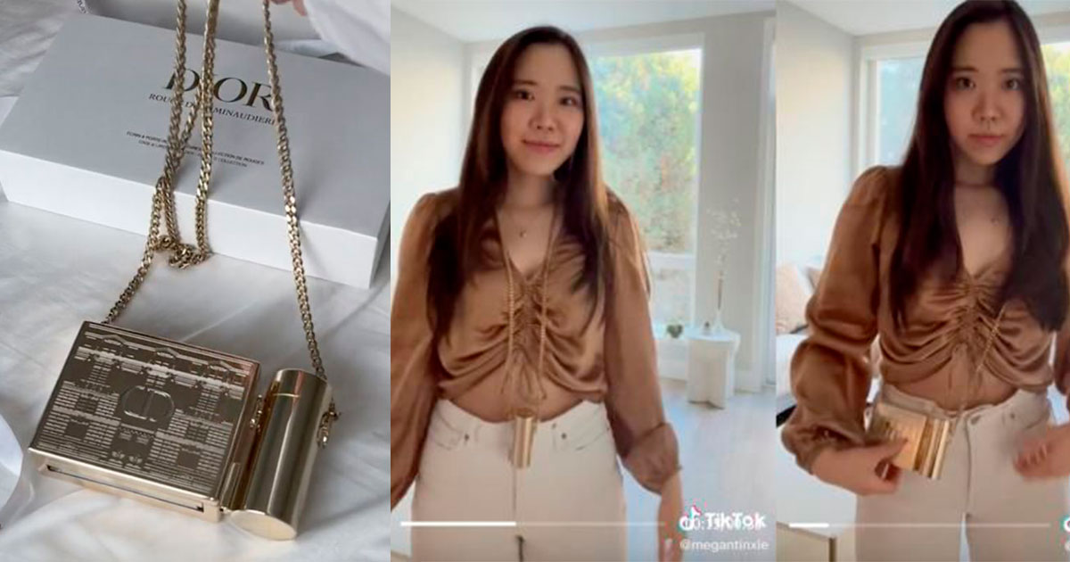 Tik Tok Este Es El Accesorio De Dior Que Funciona Como Portalabios Y Bolso Al Mismo Tiempo