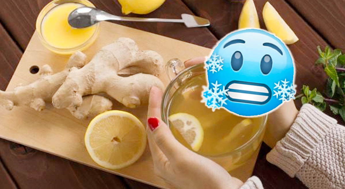 Kion: el superalimento ideal en invierno por sus bondades medicinales y ...