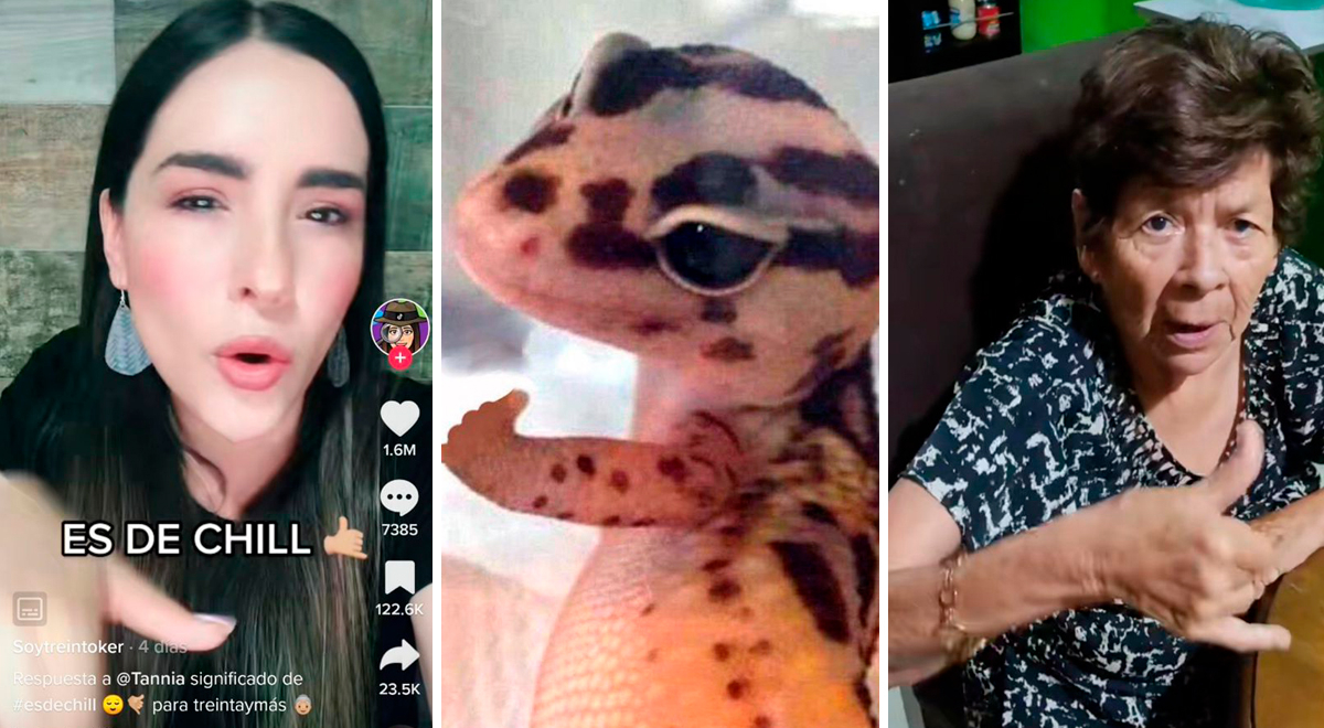 “Es de chill”: ¿qué significa la expresión que ahora es viral en TikTok?
