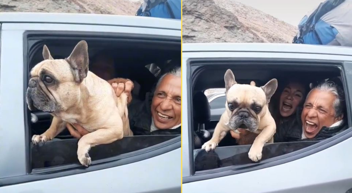 Antauro Humala es visto asomando a su perrito por la ventana y riéndose a carcajadas