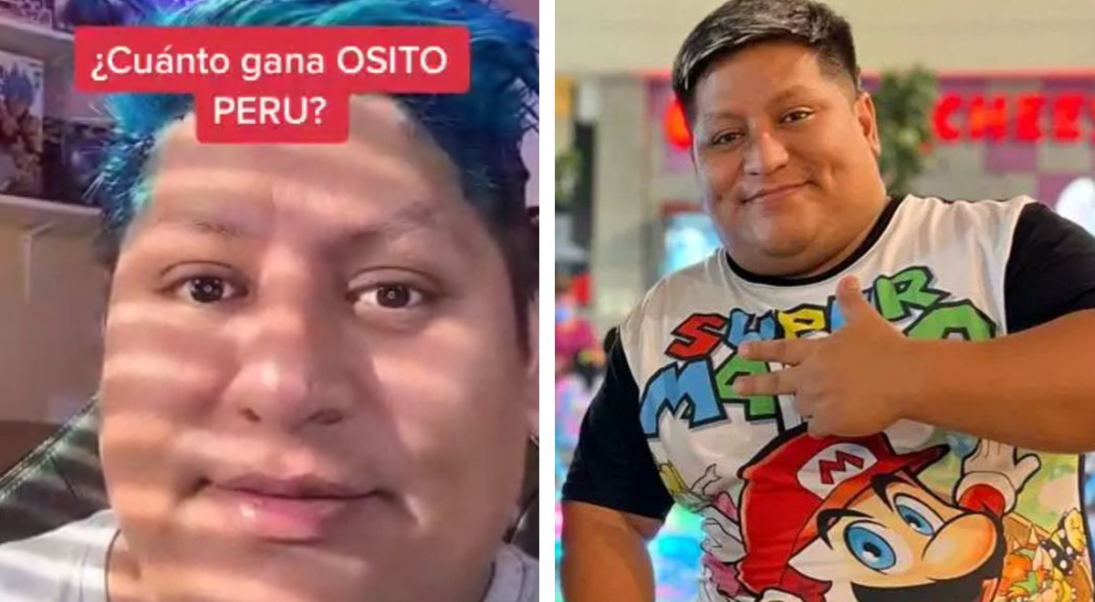Osito Perú: Así pasó de ganar 50 dólares en 6 meses a solo minutos en ...