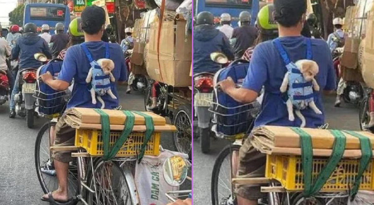 Joven lleva a su perrito cargado en la espalda como un bebé y cautiva a ...