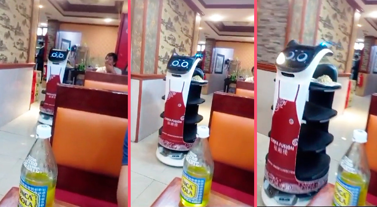 Chifa de Villa Sol implementa gato robot mesero y se vuelve viral: "Con ...