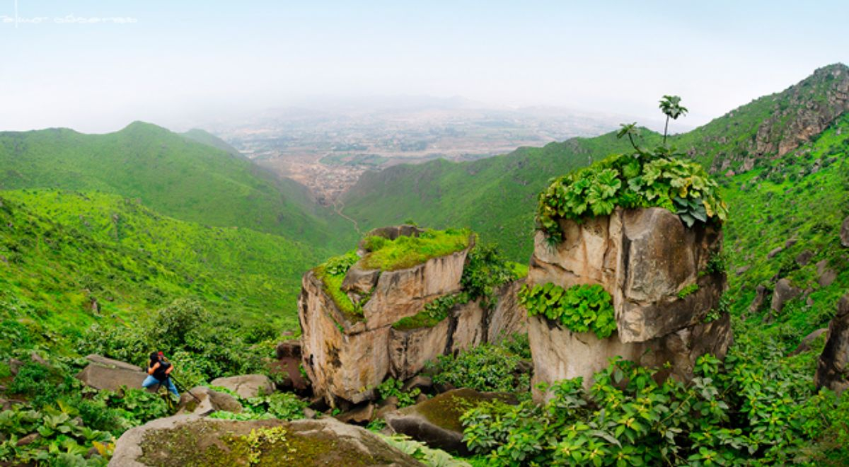 ¡A sólo 20 soles! Descubre cómo llegar a las impresionantes Lomas de Lúcumo