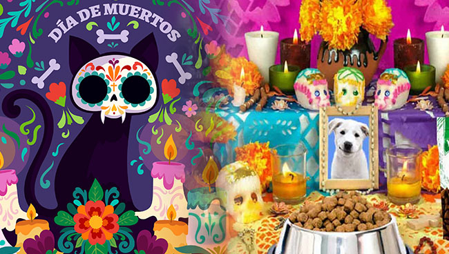 Día de muertos de mascotas: cuándo es y cómo poner el altar para los ...