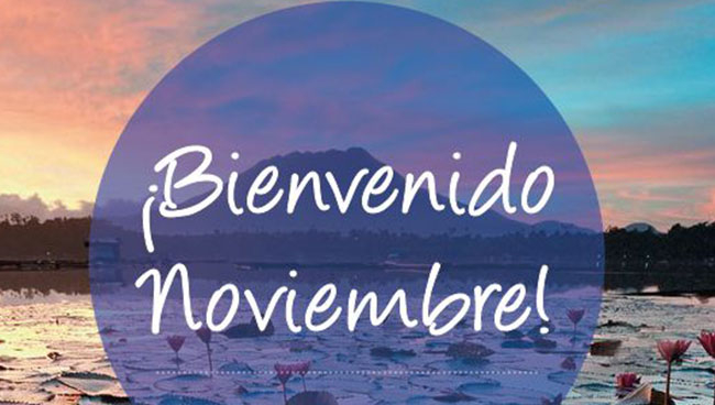 Las 25 mejores frases para NOVIEMBRE: mensajes bonitos para este nuevo mes