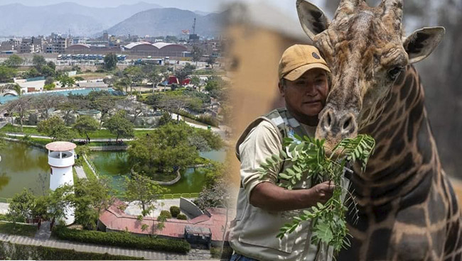 Parque de las Leyendas de Huachipa abrió: precio de entradas, horario de atención y cómo llegar