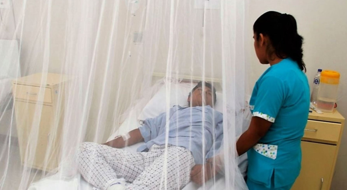 Dengue: ¿Cuáles son sus síntomas y cómo evitar esta enfermedad?